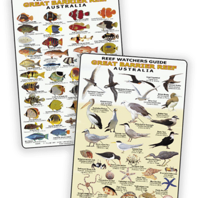 100 Magic Miles, Wildlife ID Cards and Map